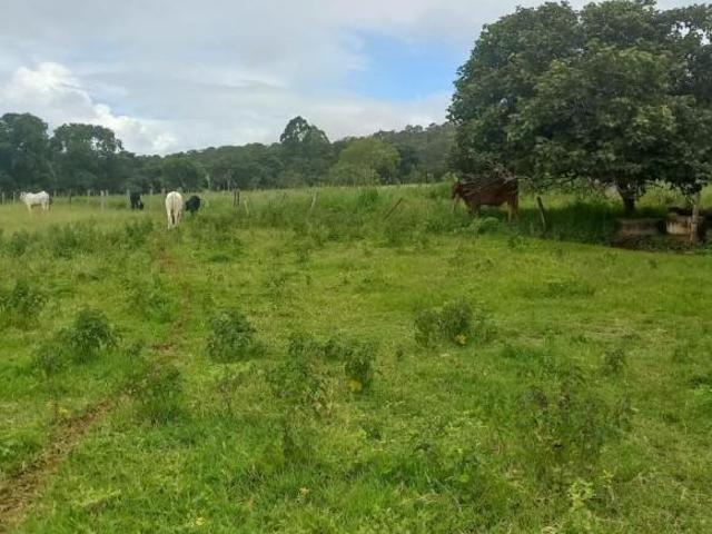 Chácara para Venda em Brasília, Setor de Hotéis e Diversões Planaltina, 3 dormitórios, 1 suíte, 3