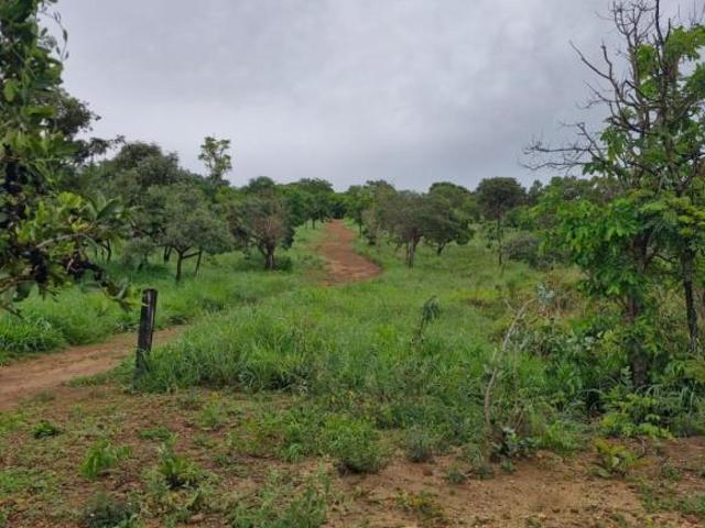 Chácara para Venda em Brasília, Setor Habitacional Jardim Botânico, 2 dormitórios, 1 suíte, 1 banhei