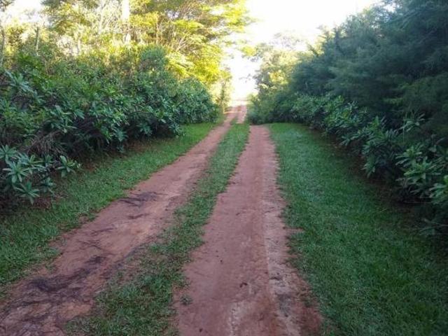 Chácara para venda em Glaura, Ouro Preto