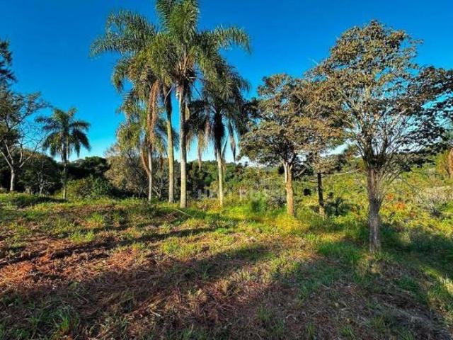 Chácara para venda em Gleba Fazenda Palhano, Londrina