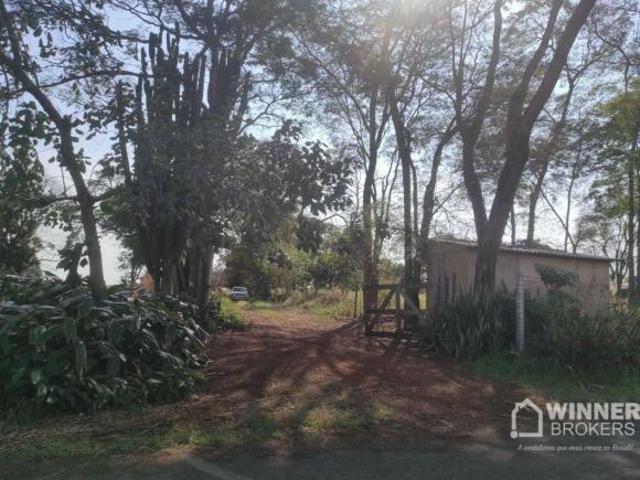 Chácara para venda em Gleba Patrimônio Maringá, Maringá