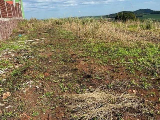 Chácara para venda em Gleba Patrimônio Maringá, Maringá