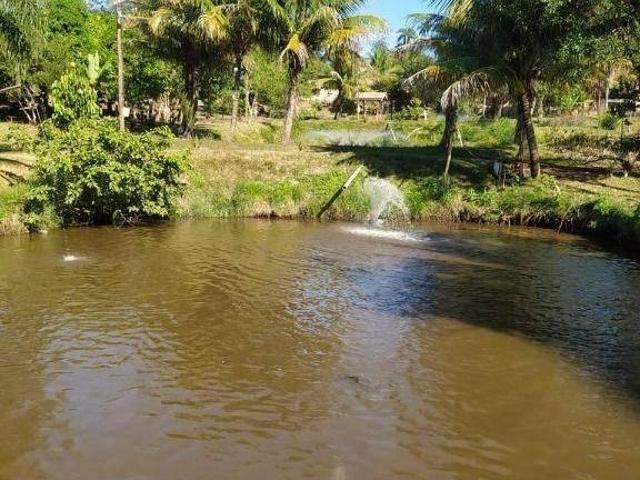 Chácara para venda em Gleba Ribeirão Maringá, Maringá