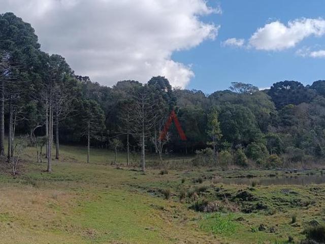 Chácara para venda em Guarapuava
