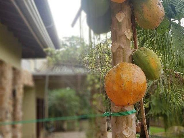 Chácara para venda em Dois Córregos, Valinhos