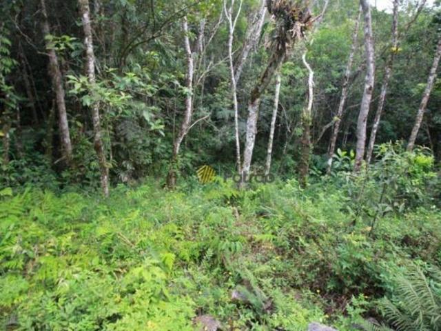Chácara para venda em Dos Finco, São Bernardo do Campo