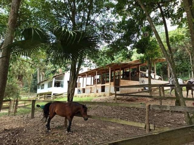 Chácara para venda em Dos Finco, São Bernardo do Campo