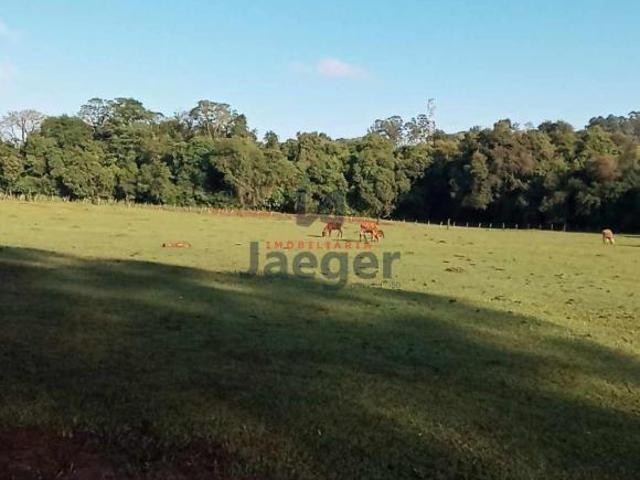 Chácara para venda em Haller, Santo Ângelo