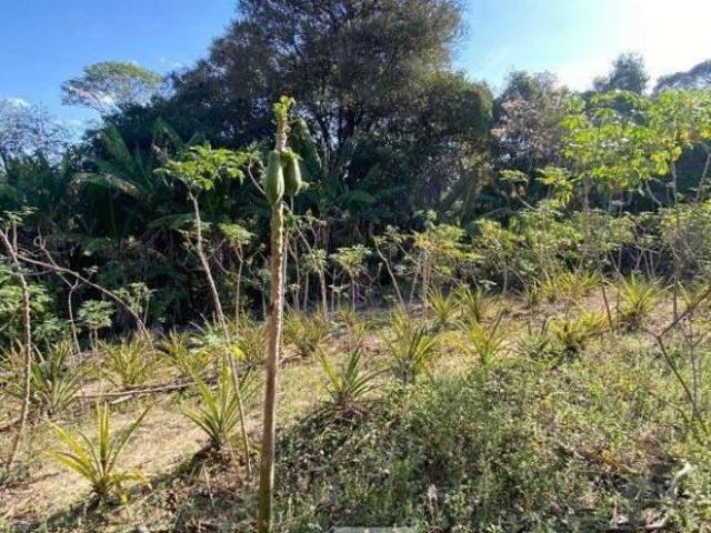 Chácara para venda em Haras Paineiras, Salto