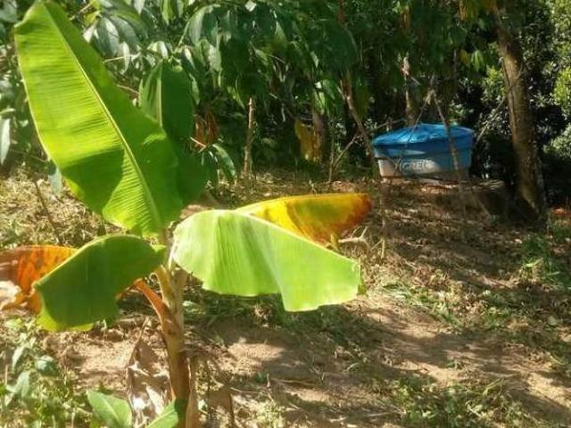 Chácara para venda em Icavetá de 2680.00m² com 1 Quarto