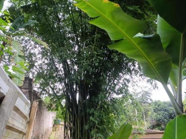 Chácara para Venda em Itu, Terras de Santa Elizabeth, 2 dormitórios, 1 banheiro