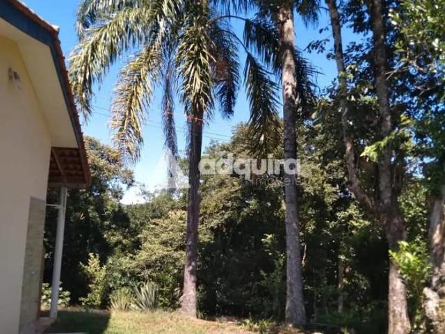 Chácara para venda em Itaiacoca, Ponta Grossa