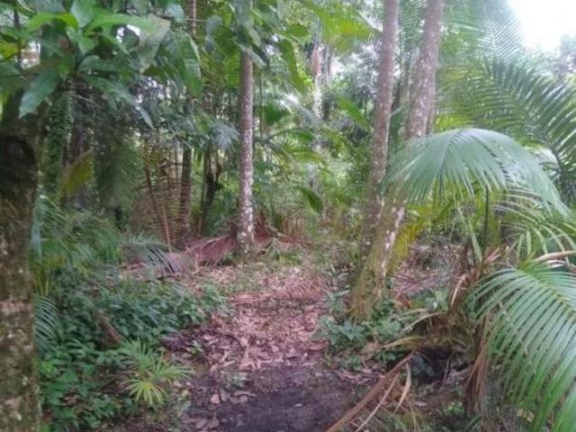 Chácara para Venda em Itanhaém, 1 dormitório, 1 banheiro