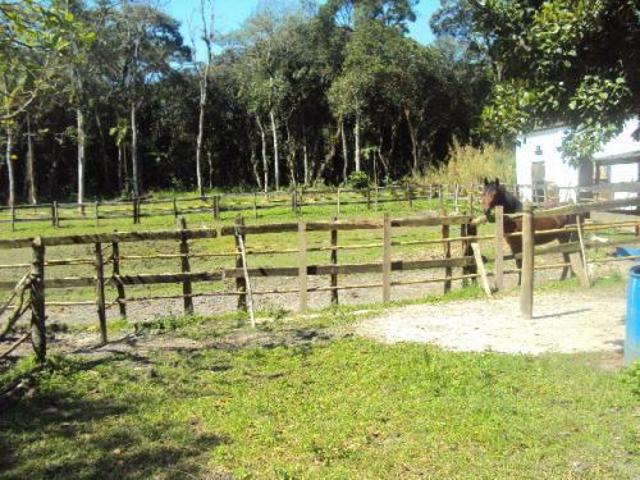 Chácara para Venda em Itanhaém, Coronel, 1 dormitório, 1 banheiro