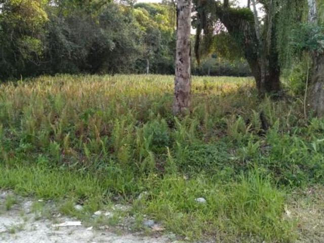 Chácara para Venda em Itanhaém, Chácara Glória