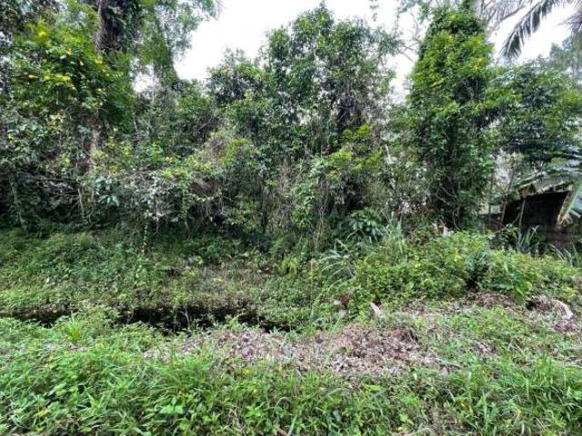 Chácara para Venda em Itanhaém, Chacaras Gaivotas