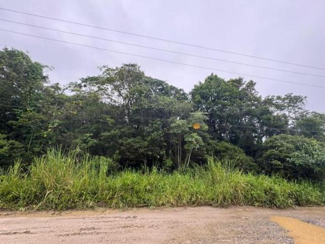 Chácara para Venda em Itanhaém, CHÁCARAS LUCEL