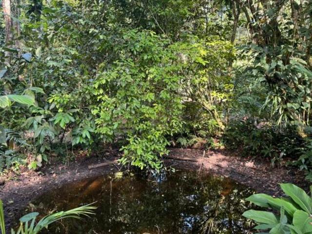 Chácara para Venda em Itanhaém, Bopiranga, 1 dormitório, 1 banheiro, 1 vaga