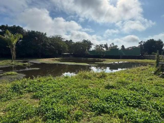 Chácara para Venda em Itanhaém, Bopiranga, 2 dormitórios, 2 banheiros, 10 vagas