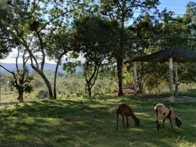 Chácara para Venda em Itanhaém, Gaivotas, 3 dormitórios, 1 suíte, 1 banheiro, 10 vagas