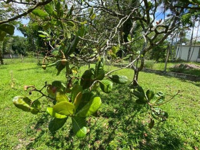 Chácara para Venda em Itanhaém, Estrada do Rio Preto, 2 dormitórios, 1 suíte, 1 banheiro, 10 vagas