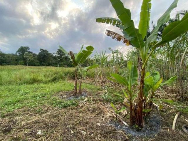Chácara para Venda em Itanhaém, Estrada do Rio Preto, 2 dormitórios, 1 suíte, 1 banheiro, 6 vagas