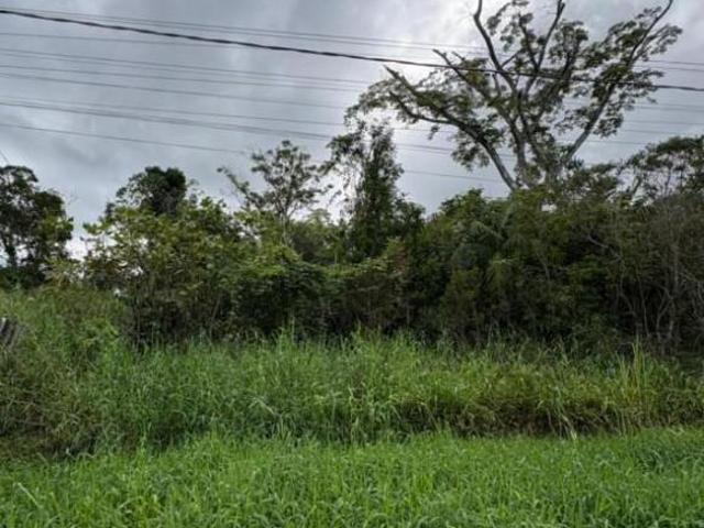 Chácara para Venda em Itanhaém, Indaiá