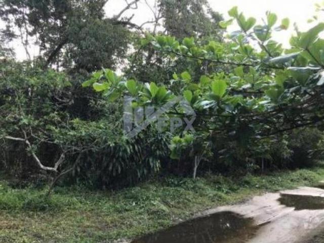 Chácara para Venda em Itanhaém, Jardim São Fernando