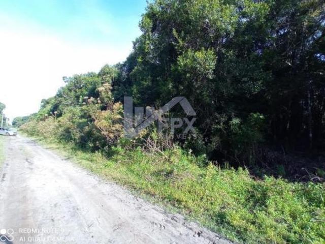 Chácara para Venda em Itanhaém, Jardim São Fernando