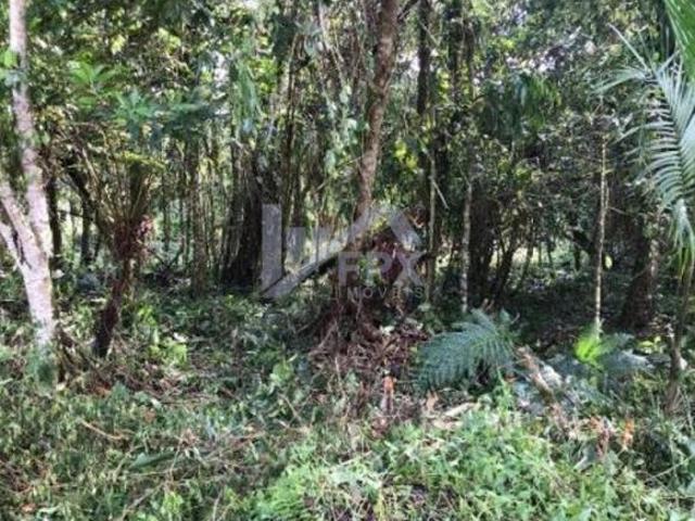 Chácara para Venda em Itanhaém, Jardim São Fernando