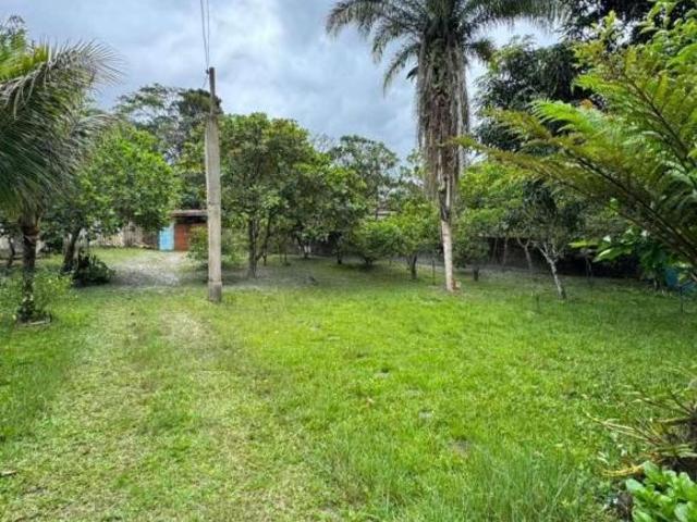 Chácara para Venda em Itanhaém, São Fernando, 2 dormitórios, 1 banheiro