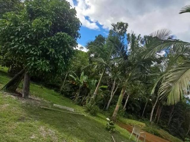 Chácara para Venda em Itanhaém, Santa Isabel, 2 dormitórios, 2 suítes, 1 banheiro, 10 vagas