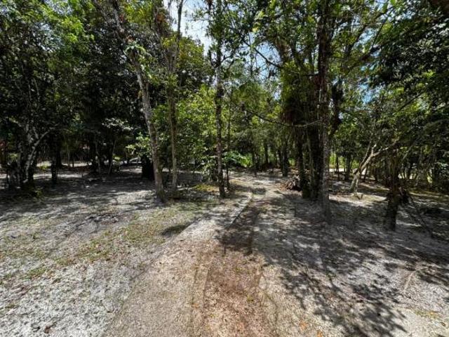 Chácara para Venda em Itanhaém, Parque Real, 2 dormitórios, 1 banheiro, 12 vagas