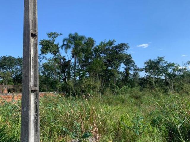 Chácara para Venda em Itanhaém, Parque Vergara