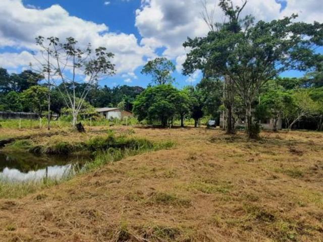 Chácara para Venda em Itanhaém, Rio Preto, 2 dormitórios, 1 banheiro