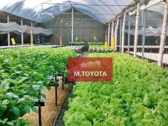 Chácara para venda em Itapety de 700.00m² com 2 Quartos