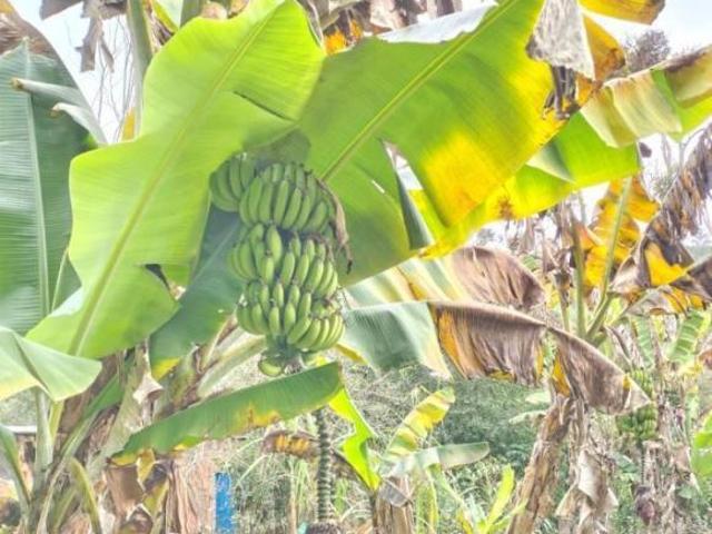 Chácara para Venda em Itapecerica da Serra, Aldeinha, 1 dormitório, 1 suíte, 3 vagas