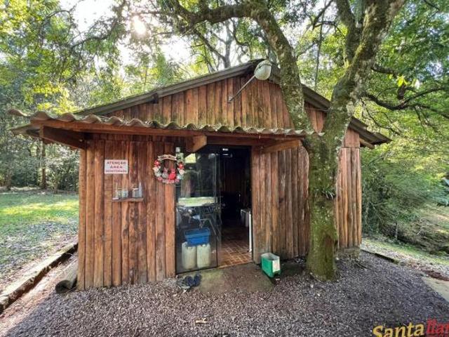 Chácara para venda em João Alves, Santa Cruz do Sul