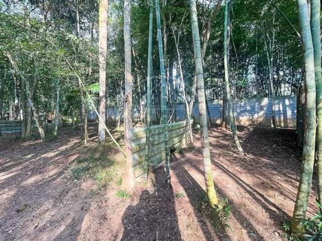 Chácara para venda em Jardim Novo Parelheiros, São Paulo
