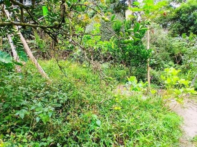 Chácara para venda em Jardim Ellus, São Paulo