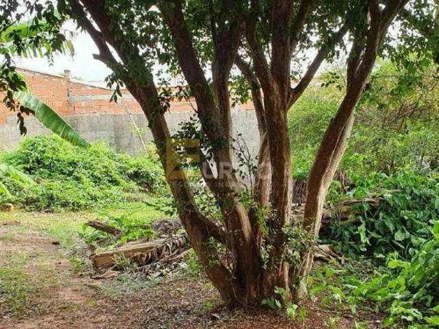 Chácara para venda em JARDIM PLANALTO de 102.04m² com 2 Quartos e 4 Garagens