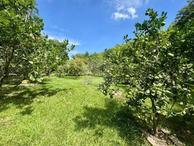 Chácara para venda em Jardim Tarumã, Jundiaí