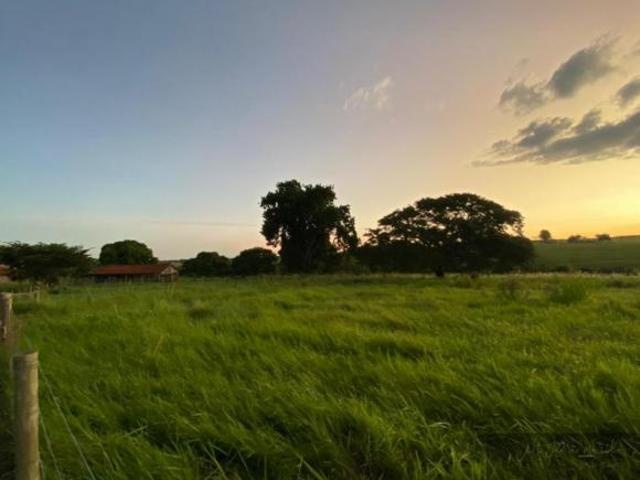 Chácara para Venda em Ocauçu, Centro