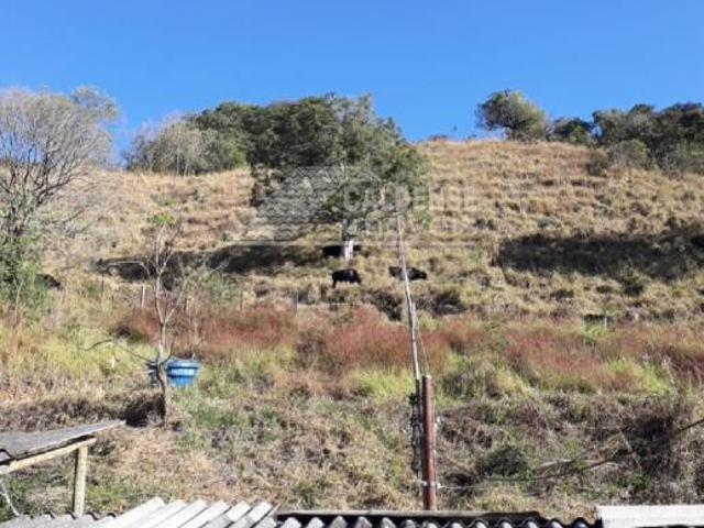 Chácara para venda em Laranjeiras de Caldas, Caldas