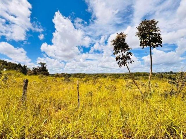 Chácara para Venda em Luziânia, Parque Estrela Dalva VII