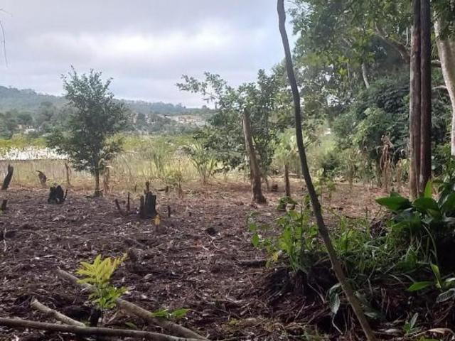 Chácara para Venda em Mogi das Cruzes, Biritiba Ussu, 3 dormitórios, 1 suíte, 2 banheiros, 10 vagas