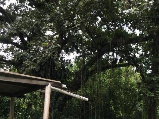 Chácara para Venda em Mongaguá, Agenor de Campos, 1 banheiro, 10 vagas