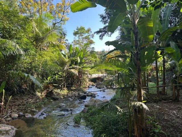Chácara para Venda em Morretes, Bom Jardim, 3 dormitórios, 1 banheiro, 4 vagas