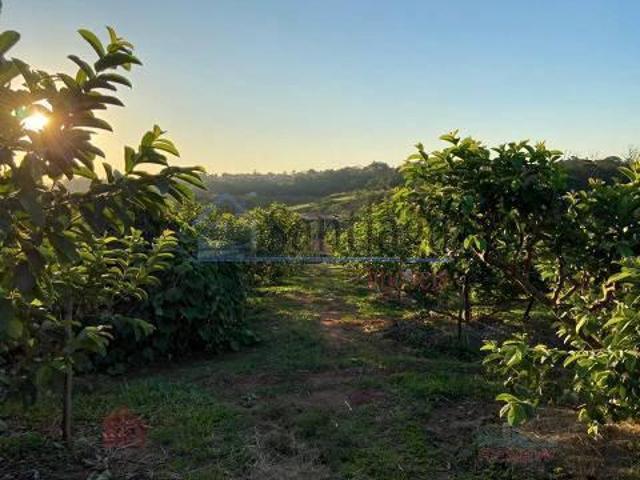 Chácara para venda em Macuco de 26455.00m² com 4 Quartos