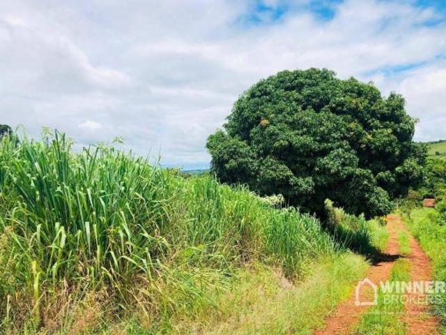 Chácara para venda em Mandaguari